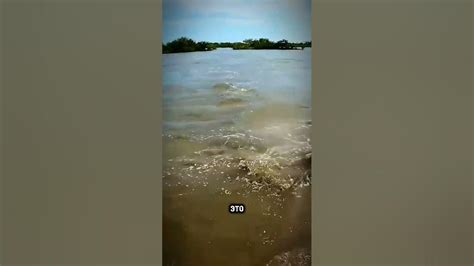 Интересная дискотека под водой интереснл Youtube