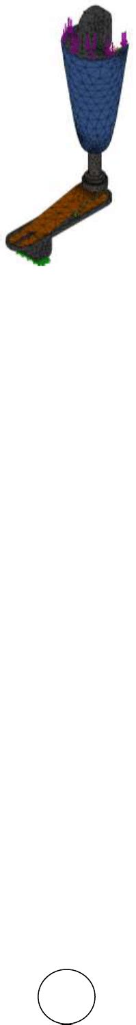 Model With Applied Forces In The Finite Element Simulation Download Scientific Diagram