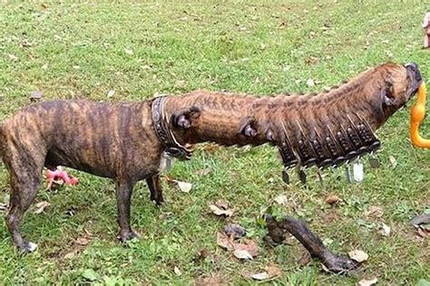 Failed Panorama Snaps That Will Mess With Your Head 47 Pics