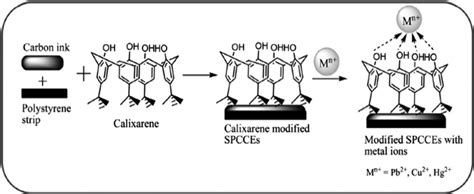Representation Of Binding And Complexation Mode Of Metal Ions With