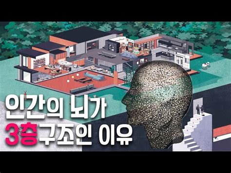 인간의 뇌가 3층구조인 이유 루카부터 호모사피엔스까지