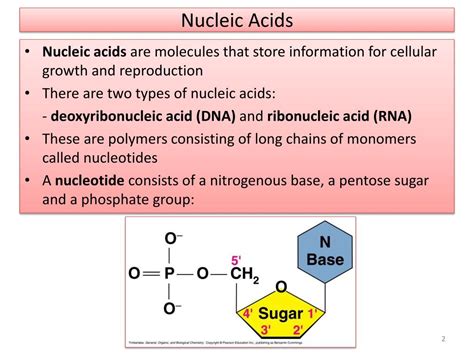 Nucleic Acids Biochemistry