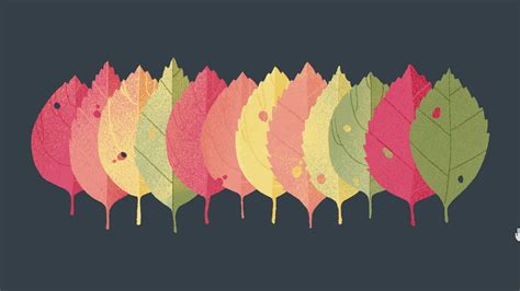 Leaves A Little To The Left Wiki Fandom