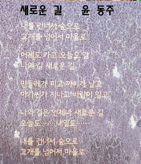 윤동주 새로운 길 네이버 블로그