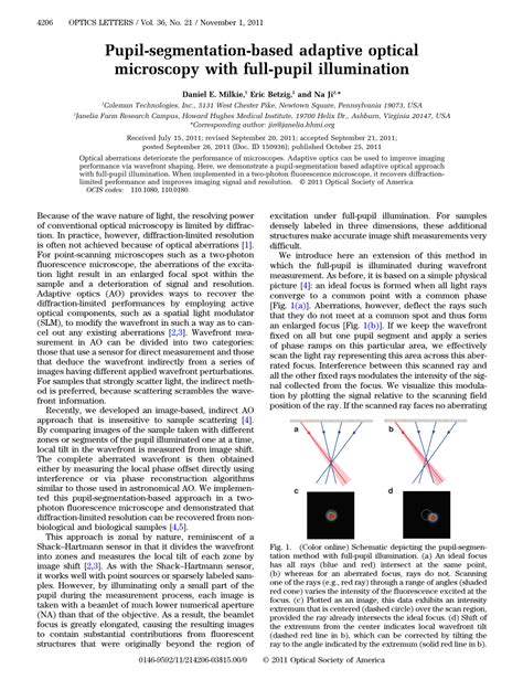Pdf Pupil Segmentation Based Adaptive Optical Microscopy With Full