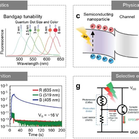 image filtering and pattern classification by synaptic optoelectronic download scientific