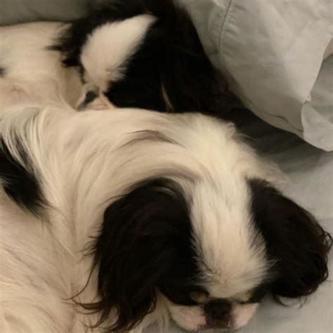 Waiting For Mom And Dad To Come To Bed