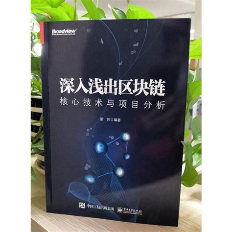当当网深入浅出区块链核心技术与项目分析梁伟电子工业出版社正版书籍虎窝淘