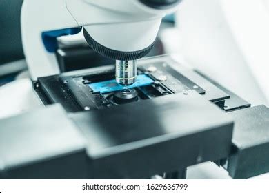 2 424 Microscope Objective Images Stock Photos Vectors Shutterstock
