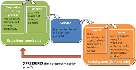 2 es cascade model source own elaboration adapted from potschin and