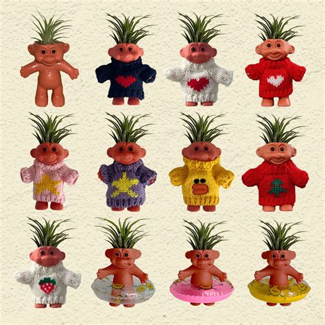 Cdefg 행복요정 트롤 키우기 실내공기정화 틸란드시아