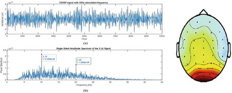 Evaluating Steady State Visually Evoked Potentials Based Brain Computer Interface System Using