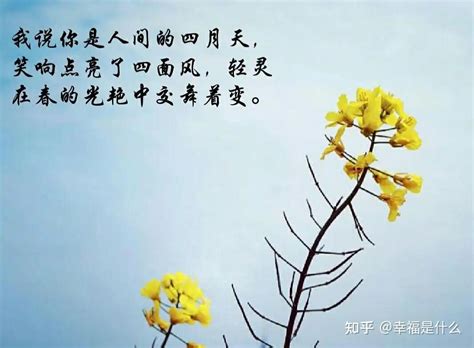 今天天气很好这是一个感叹句 知乎