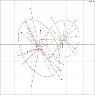 Principal Component Analysis PCA Projection Showing The Space Defined Download Scientific