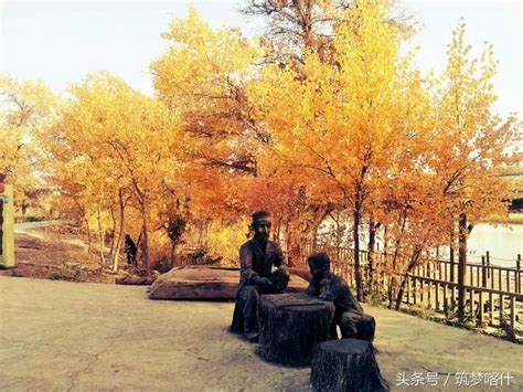 秋天來巴楚紅海灣看水邊的胡楊林 每日頭條