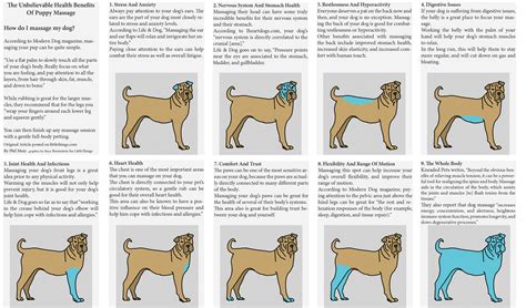 Dog Massage Poster Seacoast Pet Care Llc