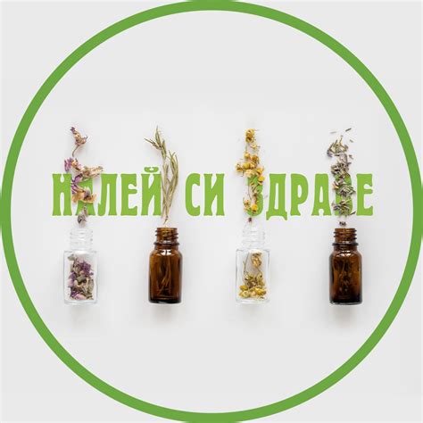 Beutyworld Bg 【 Розмарин 】 подправка или билка — Bilkovitinkturi Bg 🌿 “rosemary” е