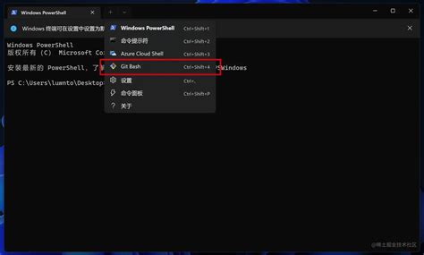 Windows安装 Zsh 终端 心兰相随