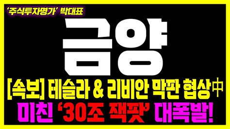 금양 초거대세력 10월 추가 매집 진행중 충격적 매수 이유 공개 금양 Lg에너지솔루션 에스엠랩 몽골리튬광산 발포제 수산화리튬 원통형배터리 Youtube