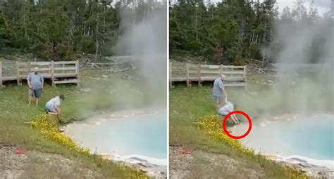Tourists Stupid Act At Yellowstone National Park