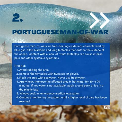 Divers Alert Network Home