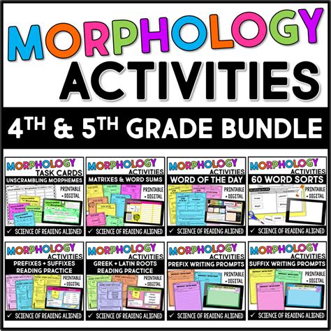 Free Prefix Suffix And Roots Posters Morphology Posters