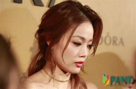 容祖儿近照 容祖儿加大力度照片 伤感说说吧