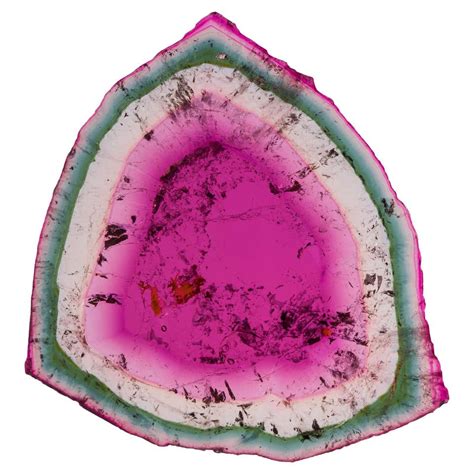 Watermelon Tourmaline Slice 715 Grams For Sale At 1stdibs
