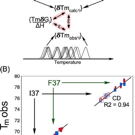 Linear Self Consistency Of T M Values Calculated From Regression Download Scientific Diagram