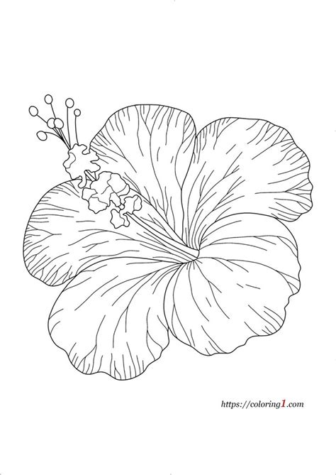Bunga Raya Clipart Black And White
