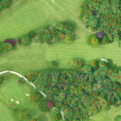 Tree Counting Object Detection Dataset V1 2023 03 31 1 55pm By Tree Counting