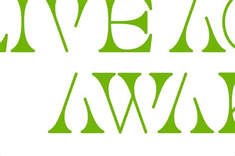 그래픽 디자이너 김도연의 레터링 디자인and모션 클래스 Coloso