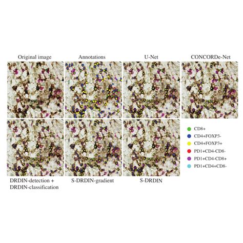 Figure A3 Examples Of Cell Detection And Classi Cation Outputs From