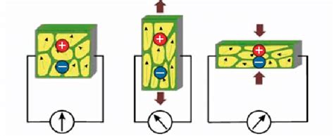 Model Of Direct Piezoelectric Effect Download Scientific Diagram