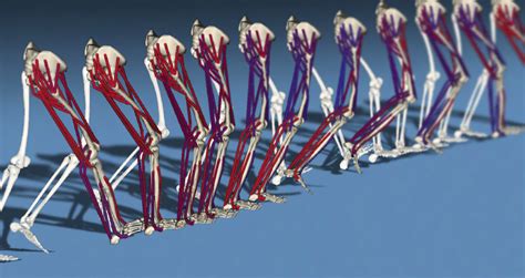 Software And Models For The Scientific Community