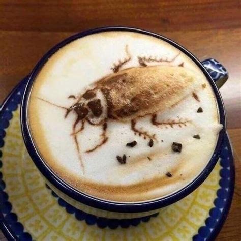 Cockroach Latte It Is A Great Execution But Why Ratbge