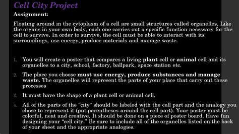 Cell City Project Poster