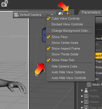 Hide Rotational Axis Daz D Forums