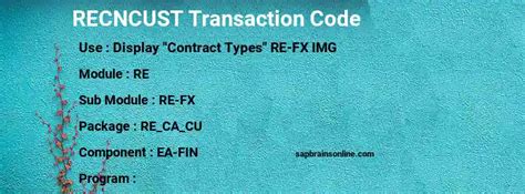 RECNCUST SAP Tcode For Display Contract Types RE FX IMG