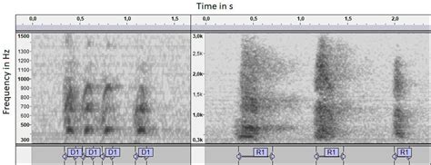 Examples Of The Signal Annotation In Audacity Left Spectrogram Of Download Scientific