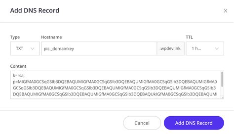 How To Point Your Domain Or DNS Kinsta