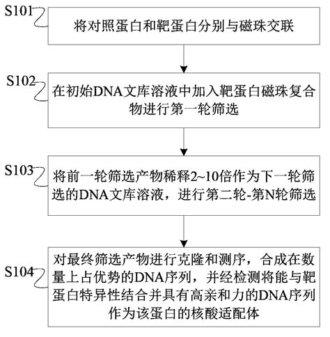 Decreasing Dna Library Concentration Based Aptamer Screening Method And