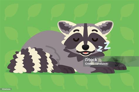 귀여운 너구리 자입니다 녹색 바탕에 잠자는 너구리의 벡터 그림 이모티콘입니다 디자인 인쇄 스티커 채팅에 대 한 요소입니다 플랫 만화 스타일에 검 하 둥 회색이 귀 부분에