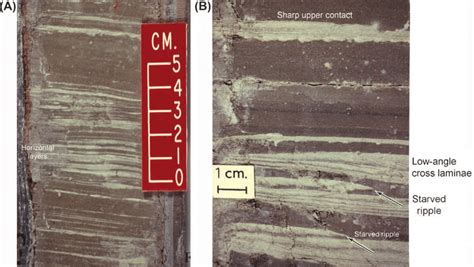 9 A Core Photograph Showing Rhythmic Layers Of Sand And Mud Middle Download Scientific
