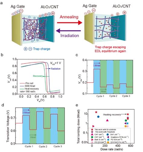 电子学系张志勇 彭练矛课题组在辐照加强碳纳米管集成电路研究中取得重要进展 北京大学电子学院