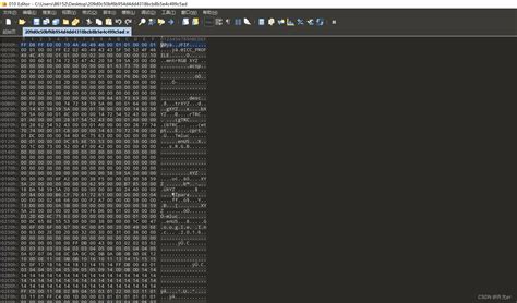 ctf misc 文件 上 ctf misc文件分离 csdn博客