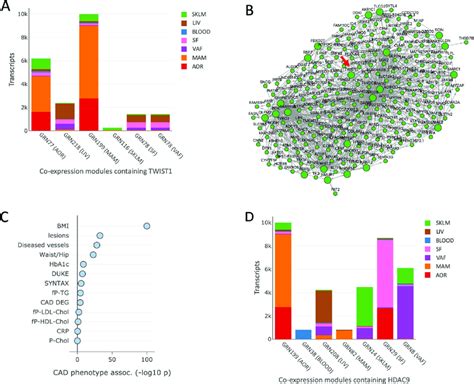 Grns Involving Twist1 Or Hdac9 And Their Associations In Starnet Download Scientific Diagram