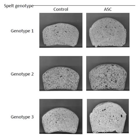 Why Is Vitamin C Ascorbic Acid Added To Bread Dough My German Table