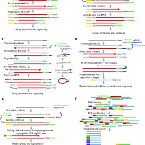 Pdf Single Cell Sequencing Technologies Current And Future