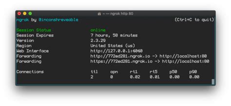 An Ngrok Tutorial And Primer Daniel Miessler